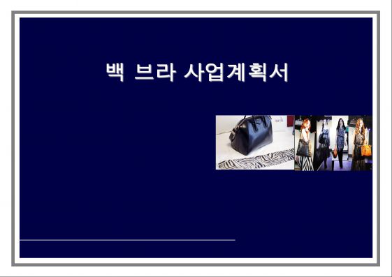 백 브라 사업계획서