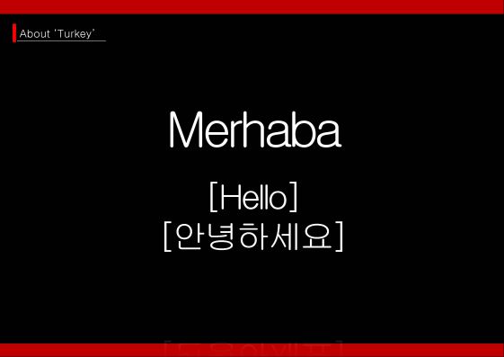 [비즈니스/경제] [국제매너] 터키 공화국