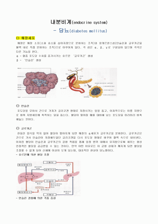 췌장기능 및 DM PO 종류