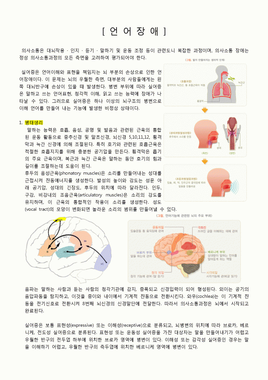 언어장애 문헌고찰