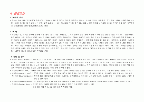 Burn case study 레포트 자료