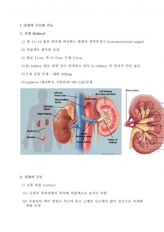 ARF & CRF (급성신부전 & 만성신부전)