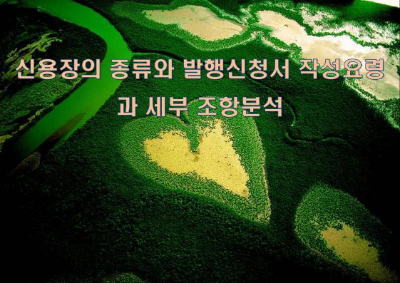 신용장의 종류와 발행신청서 작성요령과 세부 조항분석