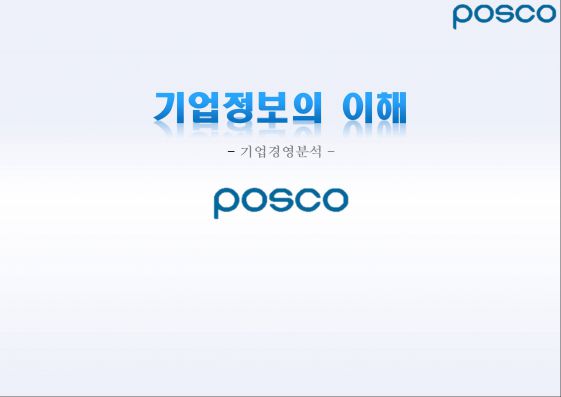 포스코 기업경영분석
