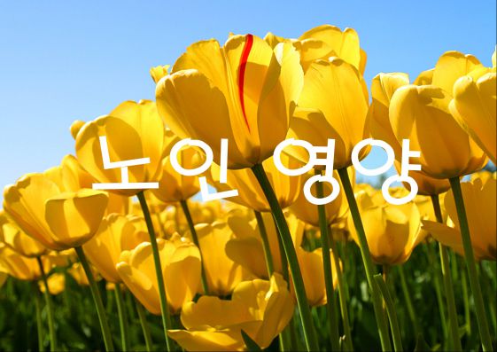 [노인간호학] 노인영양, 노인영양의요구량, 노인영양 영향요인, 노인영양과 관련된 건강문제, 노인의 영양상태 평가, 노인영양관련문제