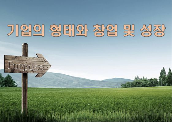 기업의 형태와 창업 및 성장