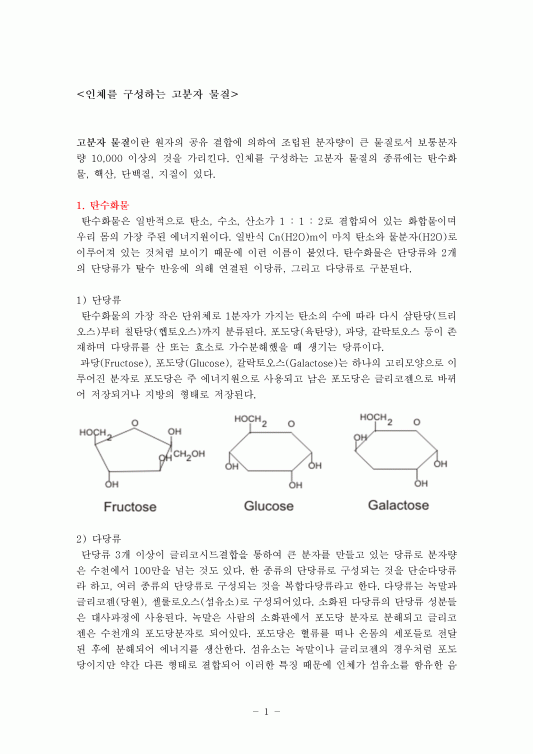 고분자 물질 및 효소의 기능