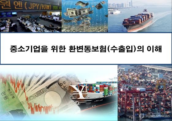 중소기업을 위한 환변동보험(수출입)의 이해