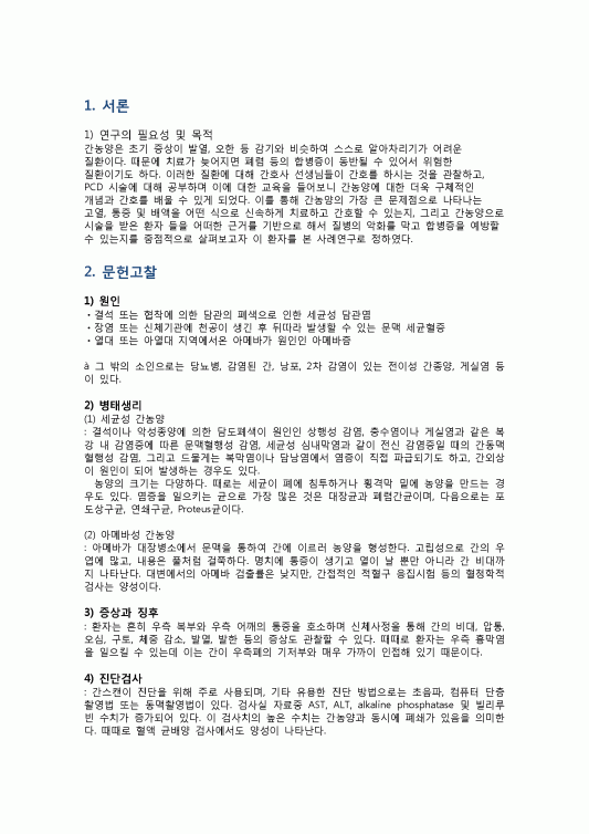 간농양케이스 case study