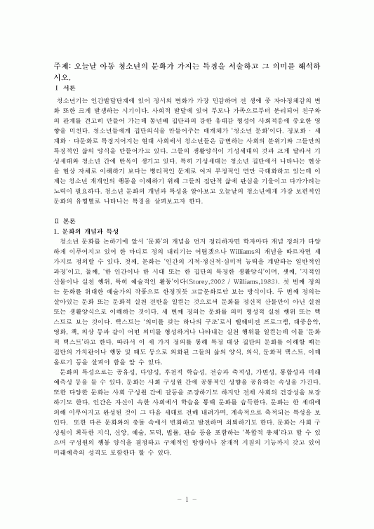 오늘날 아동 청소년의 문화가 가지는 특징을 서술하고 그 의미를 해석하시오.