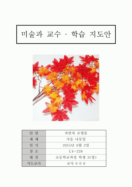 특수학교 미술과 교수 · 학습 지도안(초등과정)