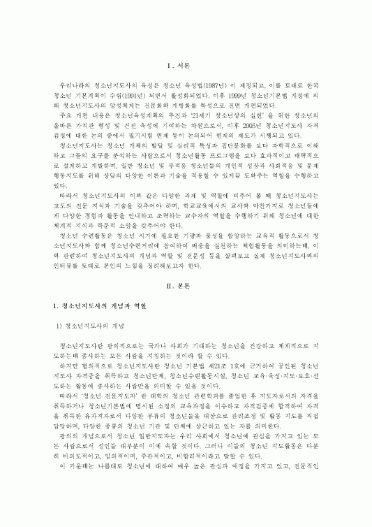 청소년 활동 과제(청소년지도사 인터뷰)
