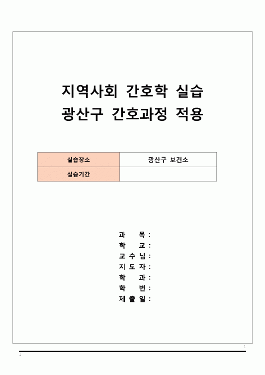<지역사회간호학 실습> 광산구 간호문제 간호과정입니다.