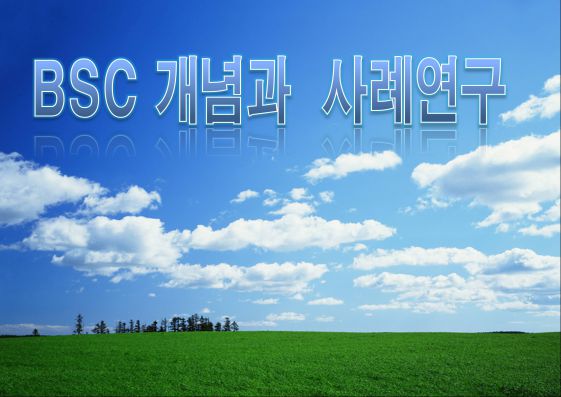 BSC 개념,BSC 사례연구,경영혁신 기법,성과측정 시스템,BSC 개념과  사례연구,포스코사례