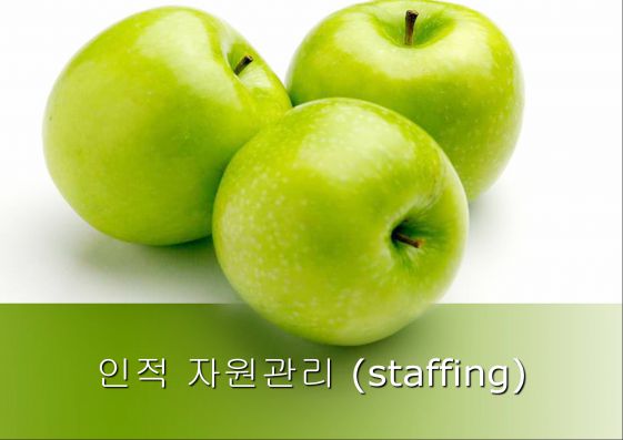 인적 자원관리,인적자원관리과정,전략적 인사관리 과정,직무특성이론,직무의 요건,직무관리의 3대 영역,직무관리의 핵심영역