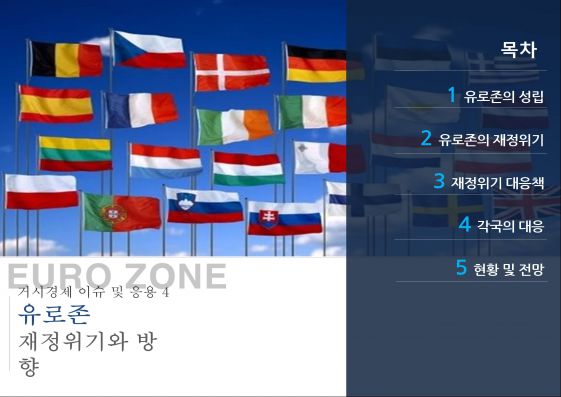 최적통화지역,유로존의 성립,유로존의 재정위기,재정위기 대응책,유럽통화연맹,유럽 재정위기의 원인,유로존 위기의 확산
