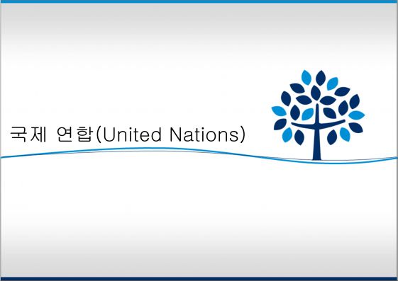 국제연합의 성립,국제연합의  조직,국제연합의 활동 및 평가,국제연합의 과제,안전보장이사회,경제사회이사회총회,평화유지활동