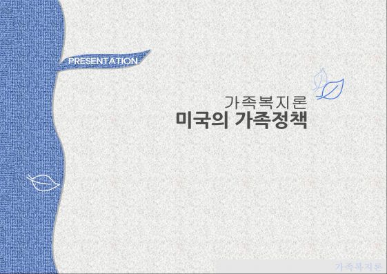 가족복지론,미국의 가족정책,01  미국 가족정책의 배경,소득지원정책,자녀양육지원정책,자산조사형,가족간호