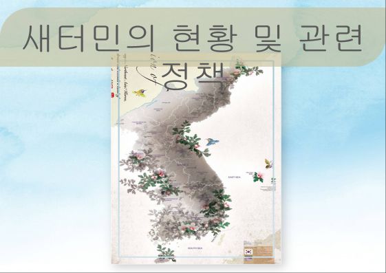 새터민의 현황 및 관련 정책,새터민을 위한 콘텐츠,새터민의 정의, 현황