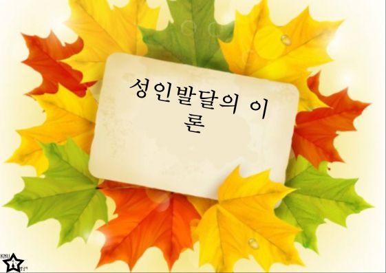 성인발달의 주요 이론,심리성적 발달이론,자아발달이론,발달과업이론,도덕성 발달이론