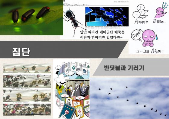 집단 따돌림,동조행동,집단 따돌림이란,피해자와 가해자,피해자 동조,방관자