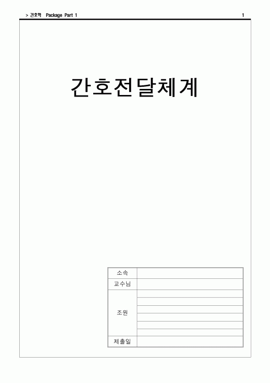 간호전달체계 관한 레포트
