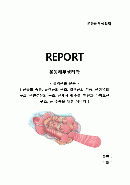 운동해부생리학 - 골격근과 운동 ( 근육의 종류, 골격근의 구조, 결격근의 기능, 근섬유의 구조, 근원섬유의 구조, 근세사 활주설, 액틴과 마이오신 구조, 근 수축을 위한 에너지 )
