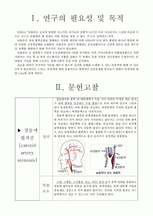 성인간호학 뇌경색 간호과정