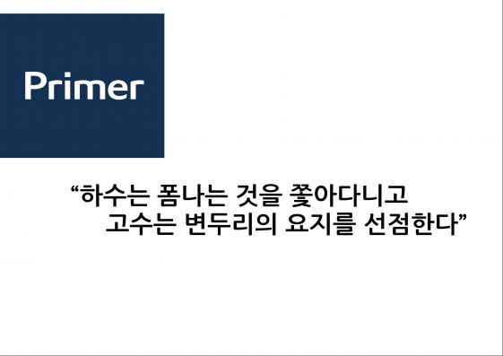 스타트업엑셀레이터(프라이머 중심)