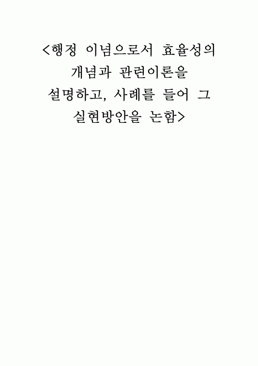 행정이념으로서 효율성의 개념과 관련이론 및 실현방안