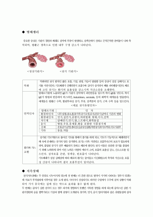 천식 병태생리, 간호, 간호진단 3개