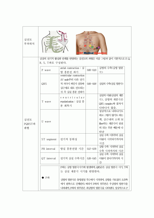 심전도 간호 비타민 K