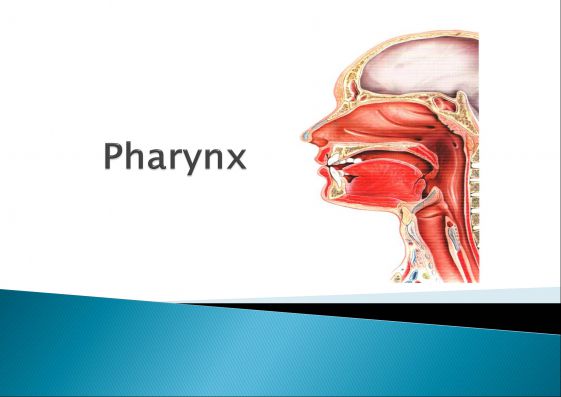 pharynx cancer(인두암)에 관한 PPT