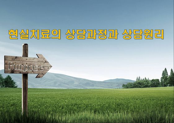 현실치료의 상담과정과 상담원리