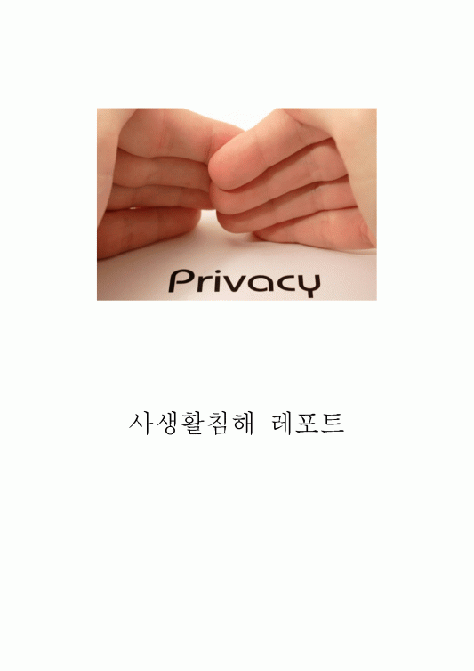 [ 사생활침해 연구 레포트 ] 사생활침해 개념과 원인,유형,사례분석및 사생활침해 해결방안과 나의의견