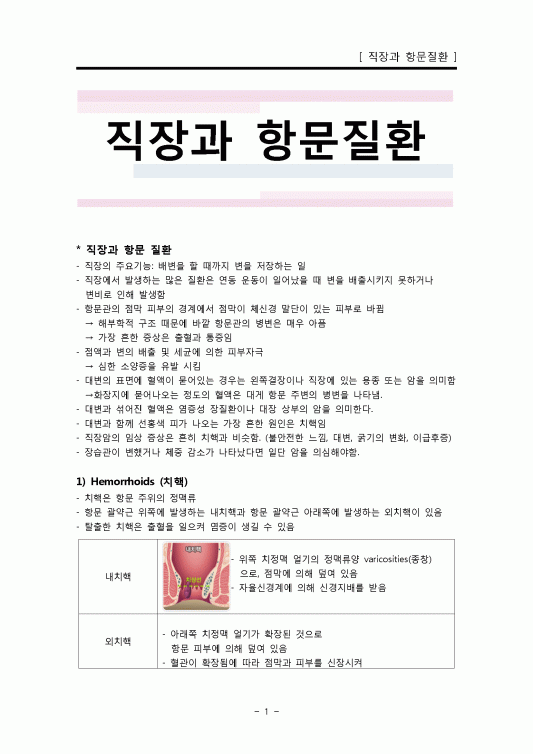 직장과 항문질환