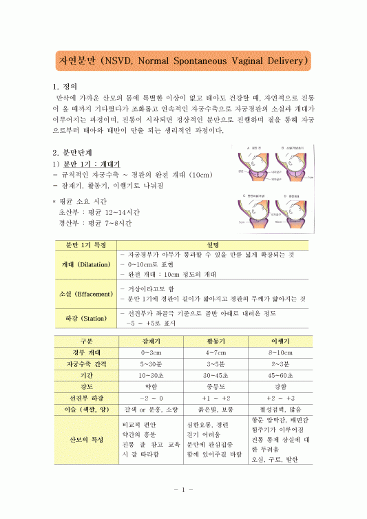 여성간호학 모성간호학 자연분만 케이스 스터디(문헌고찰, 흡인만출, 간호진단 등 포함)