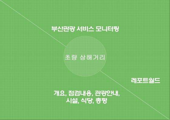 부산관광 서비스 모니터링 - 초량 상해거리 ( 개요, 점검내용, 관광안내, 시설, 식당, 총평 )
