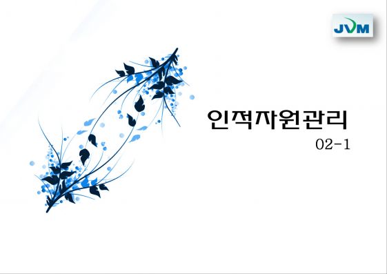 (주) JVM 사례로 본 기업의 인적자원관리 현황 및 분석 보고