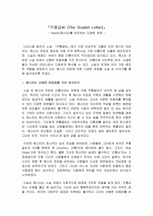 [주홍글씨]Hester(헤스터)를 바라보는 다양한 관점.Hester가 청교도사회에 반하는 행동으로서 책에서와는 다른 장면