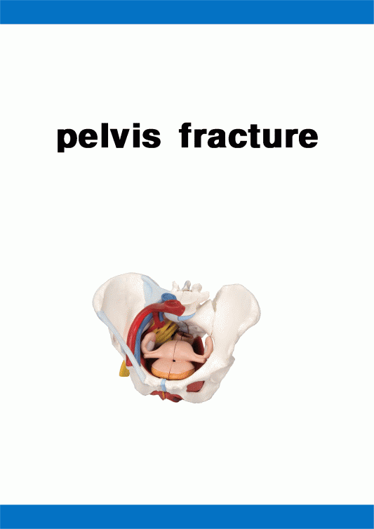pelvis Fx 케이스 (pelvis fracture 케이스, 골반골절 케이스, 골반골절 간호과정, pelvis fracture 사례연구, pelvis fracture 간호과정, pelvis ramus Fx 케이스)
