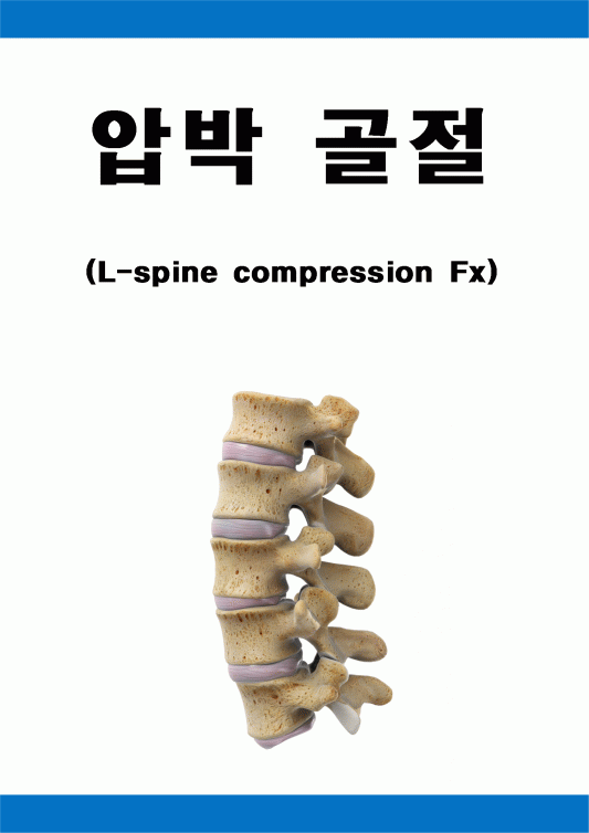 압박 골절 케이스 스터디 (L-spine compression Fx) 검색  L-spine compression Fx 케이스, L-spine compression Fx 간호과정, 압박 골절 케이스 스터디, 요추 협착증 케이스)
