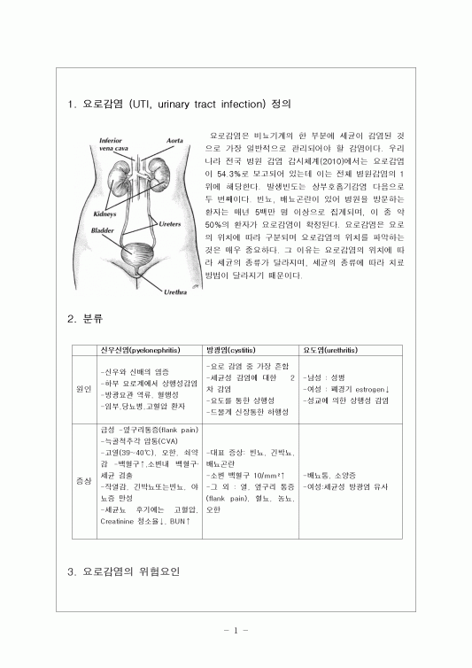 요로감염 문헌고찰 (UTI, urinary tract infection)