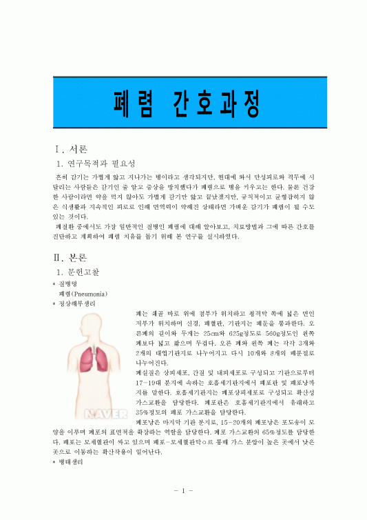 [의약학] 폐렴(Pneumonia) 간호과정