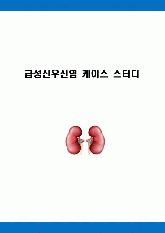 급성신우신염 케이스 스터디 (급성 신우신염, 케이스 스터디, 급성신우신염 간호과정, 급성신우신염 간호진단, 급성신우신염 사례연구, 신우신염, APN, acute pyelonephritis CASE STUDY)