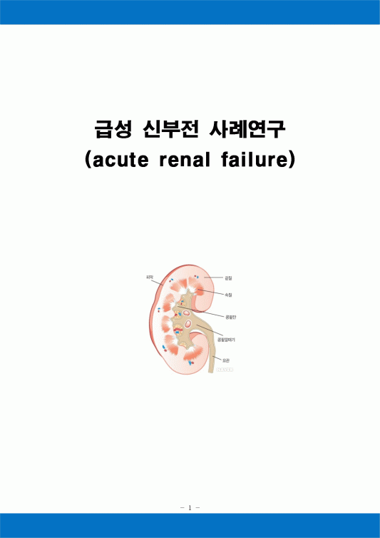 급성신부전 케이스 스터디 (급성 신부전, 케이스 스터디, 간호과정, 급성신부전 사례연구, 급성신부전 CASE STUDY, acute renal failure CASE STUDY)
