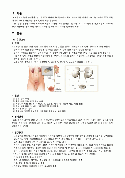 urinary stone (요로결석) - 요로결석 케이스 스터디, 요로결석 간호과정, urinary stone case study, urinary stone 케이스 스터디, urinary stone 간호과정, 요로결석 간호진단, urinary stone 사례연구