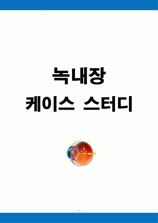 녹내장 케이스 스터디 (녹내장 케이스 스터디, 녹내장케이스, 녹내장 간호과정, 녹내장 간호진단, 녹내장 사례연구, 녹내장 실습)