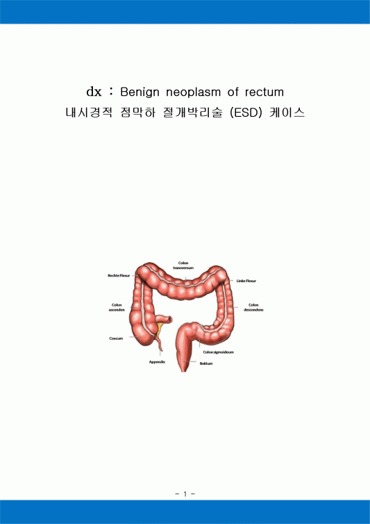 Benign neoplasm of rectum 내시경적 점막하 절개박리술 (ESD) 케이스 (ESD CASE STUDY, ESD 케이스, Benign neoplasm of rectum 케이스 스터디, ESD 간호과정, 직장 양성 신생물 케이스 스터디, 직장 양성 신생물 C
