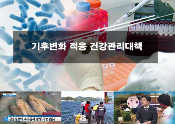 기후변화 적응 건강관리대책